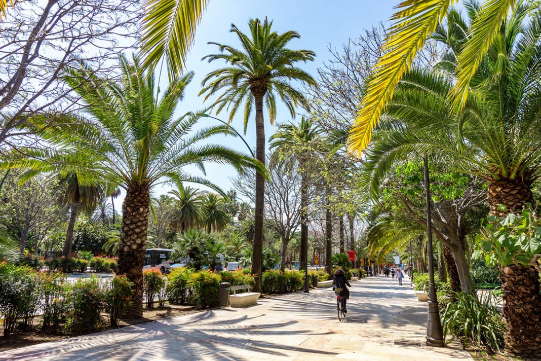 Málaga: TOP 15 Atrakcje, które warto zobaczyć